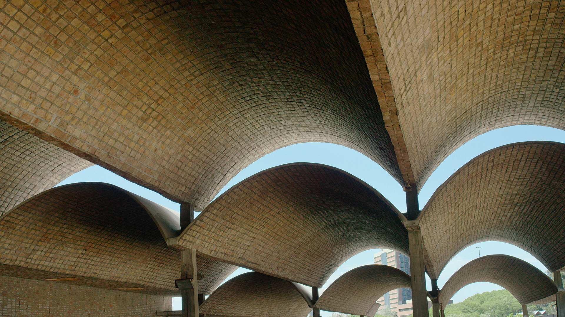 Grasshopper Educational: DIESTE [URUGUAY]